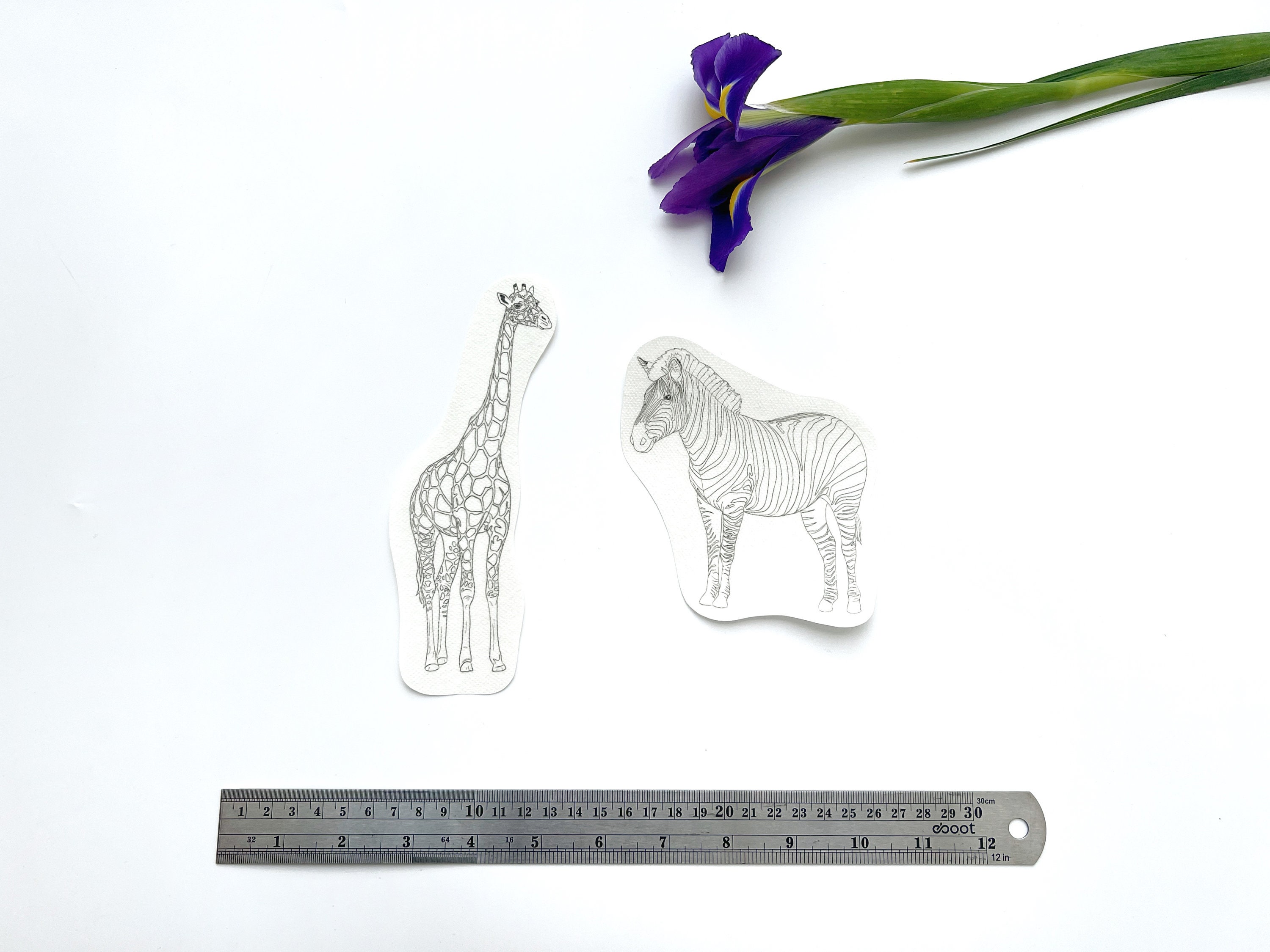 Stick & Stitch zoo Hand Embroidery Designs, Water Soluble Patterns of ...