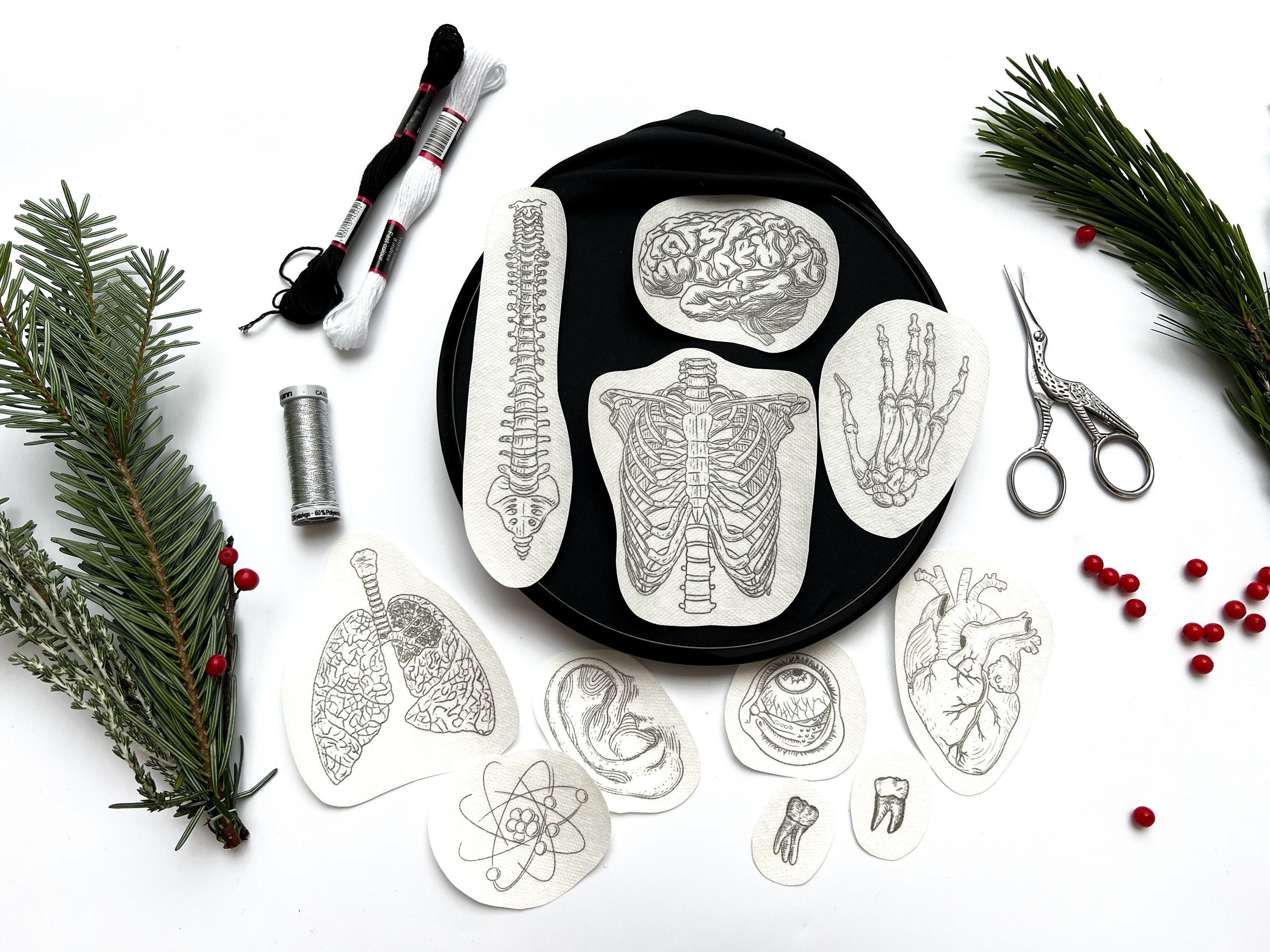 Stick & Stitch "human Anatomy" Embroidery Design, Transfer Patches ...