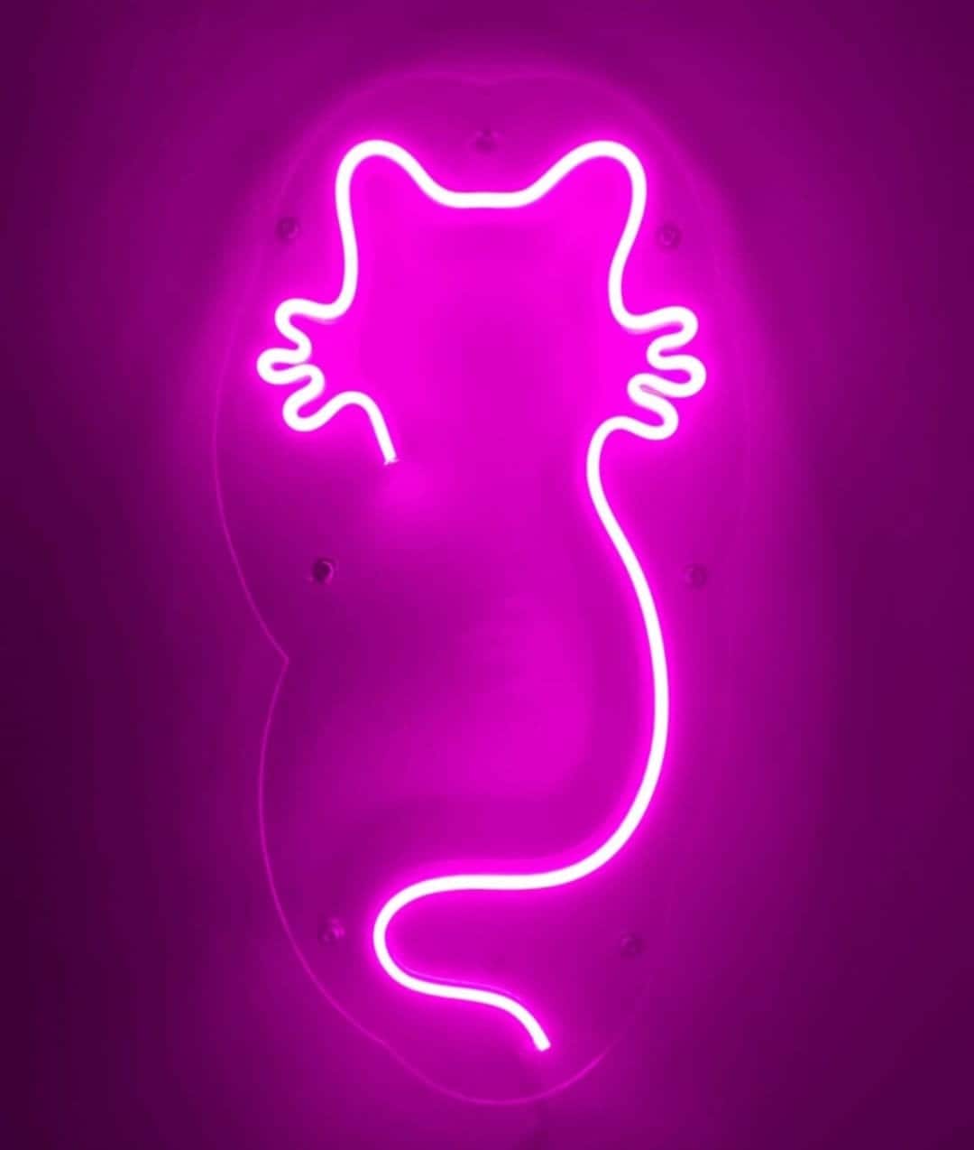 Cat Neon Led Sign , Cat Neon Light , Cat Wall Art , Cat Gift for Cat ...