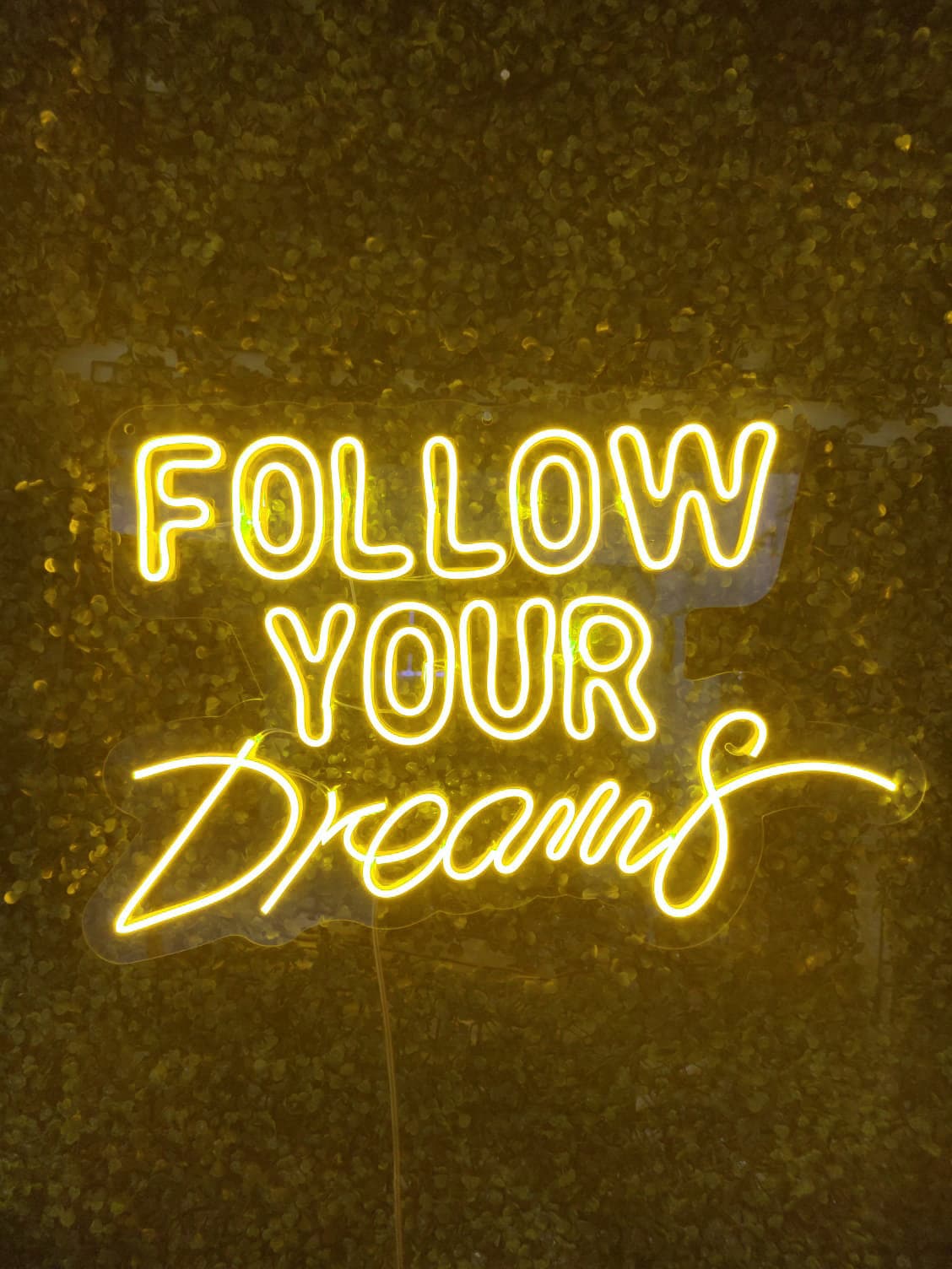 Follow Your Dreams Neon LED Sign - Inspirational Wall Decor ...