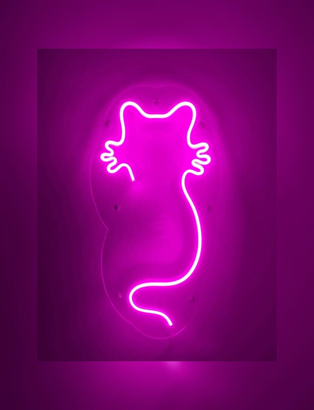 Cat Neon LED Sign - Cute Cat Neon Light | Fun LED Wall Art for Cat ...
