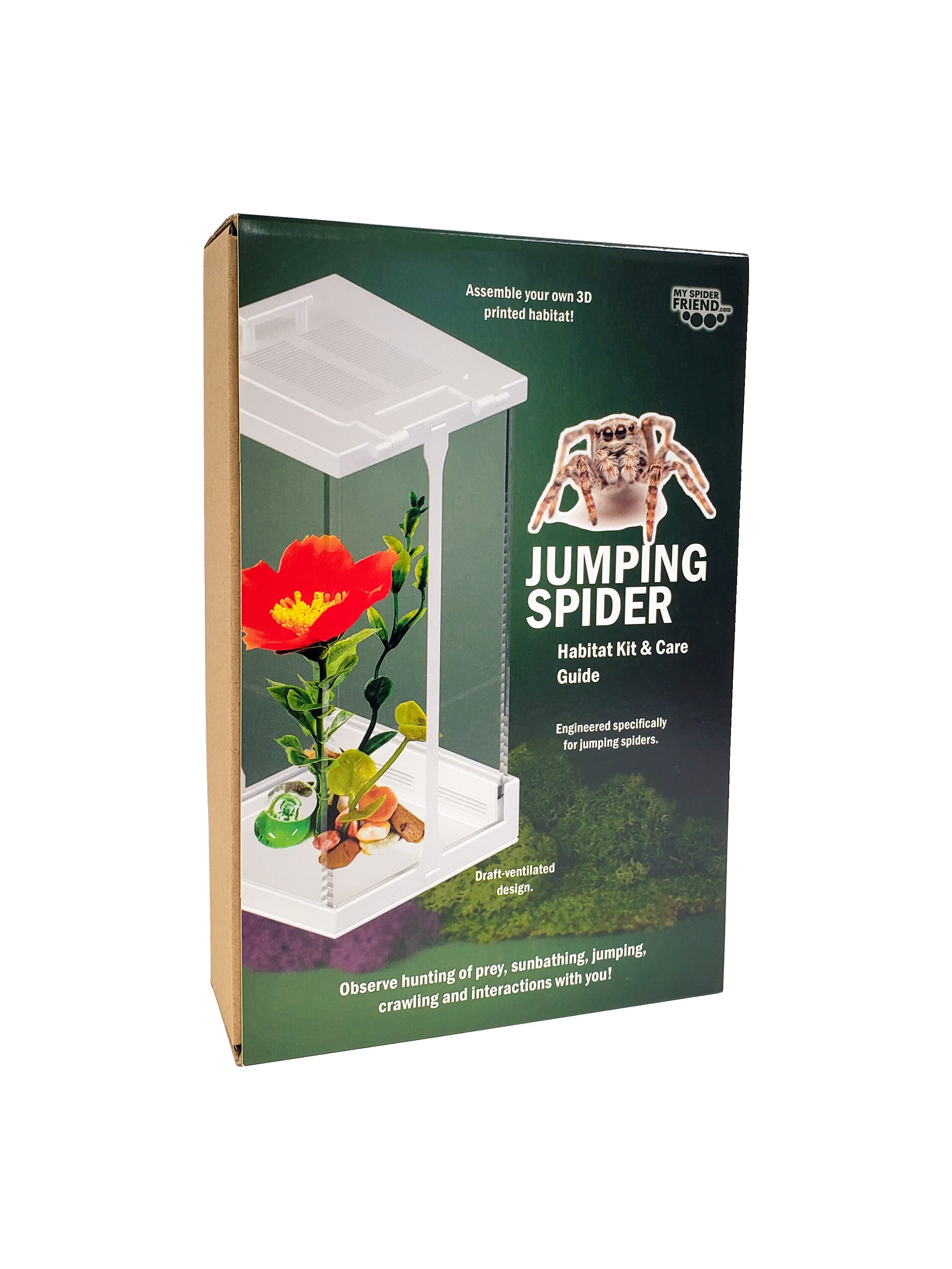 FULL KIT: Jumping Spider Habitat and Care Kit 3D Printed - Etsy