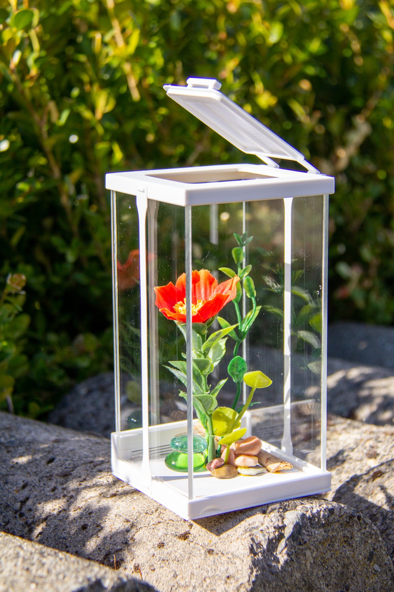 FULL KIT: Jumping Spider Habitat and Care Kit 3D Printed - Etsy