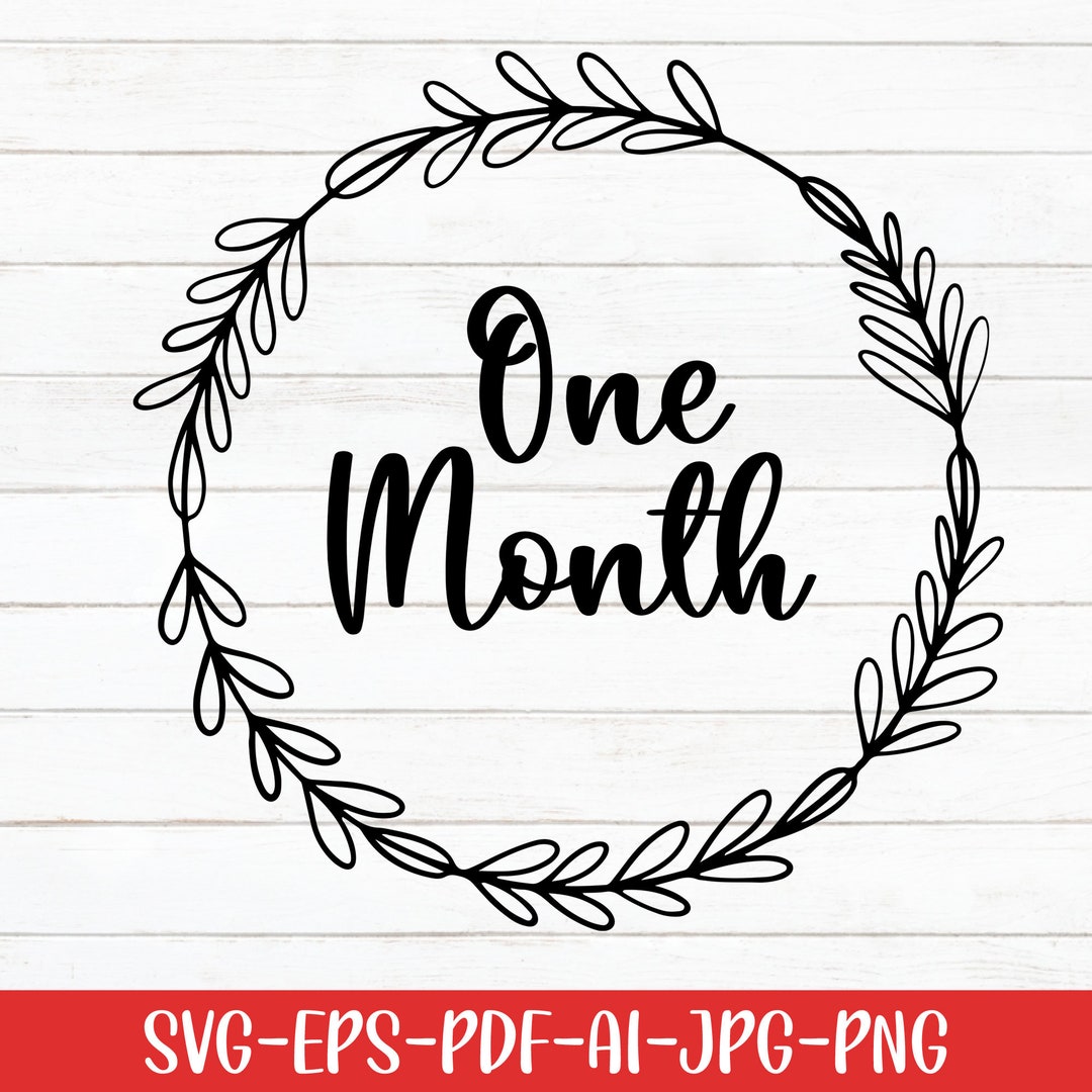Un mes Svg, Baby Svg, Baby Month Svg, Descarga digital, Baby Life Svg ...