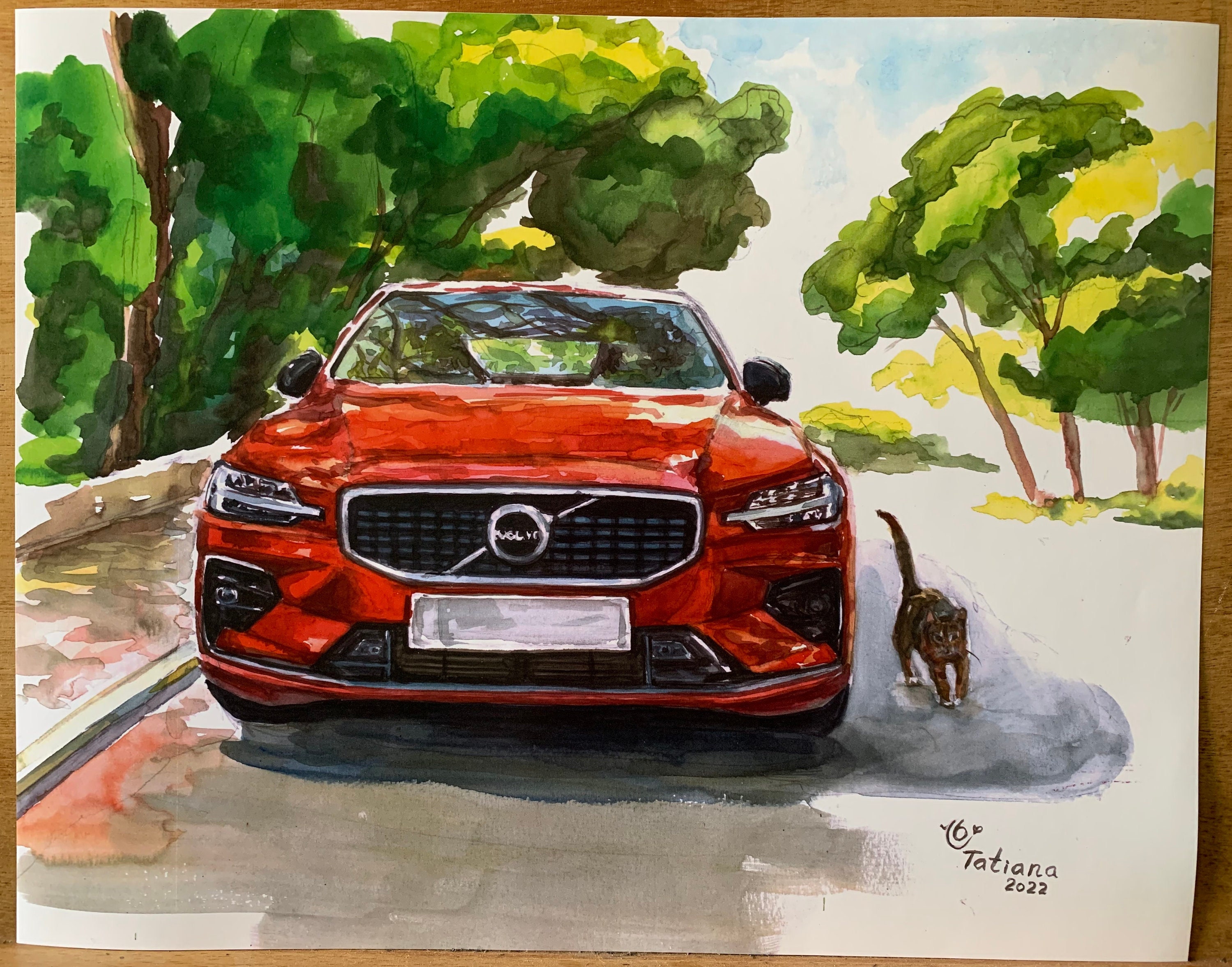 Volvo S60 and Cat - Original Print From a Watercolor Painting - Etsy