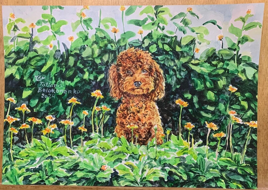 Toy Poodle - Prints From a Watercolor Painting - Etsy