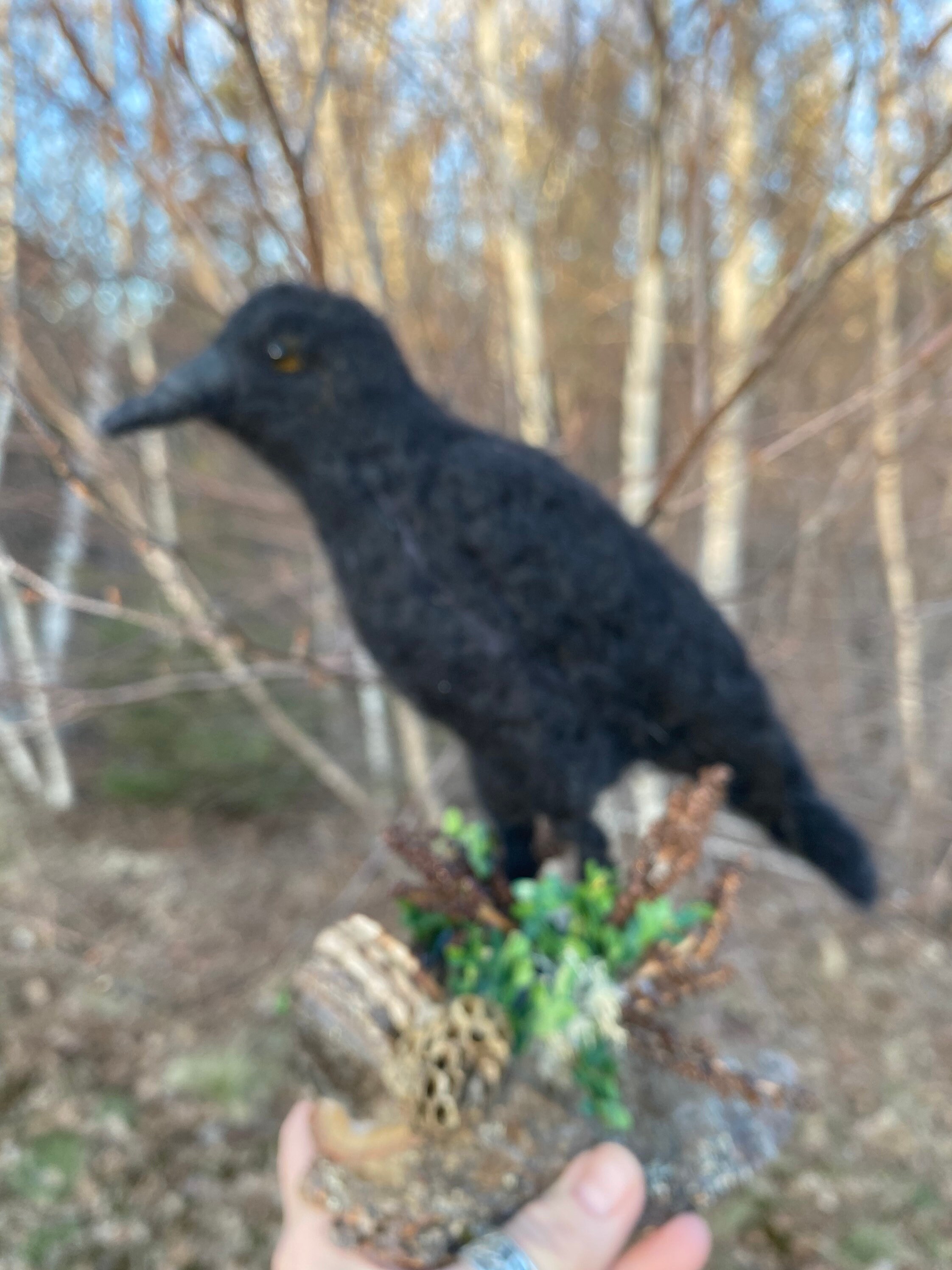 Black Crow Needle Felted Realistic Size made in Nova - Etsy