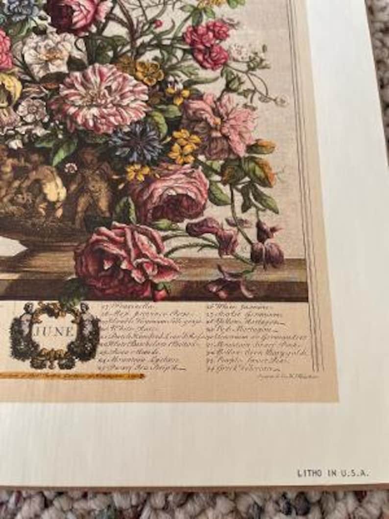 Vintage Arthur A. Kaplan Flower Prints 1979 - Etsy