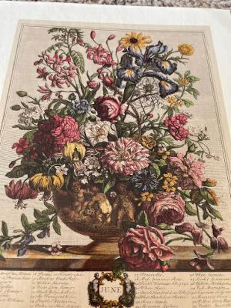 Vintage Arthur A. Kaplan Flower Prints 1979 - Etsy