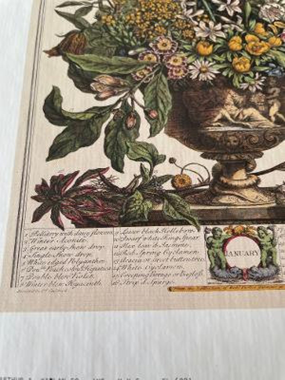 Vintage Arthur A. Kaplan Flower Prints 1979 - Etsy