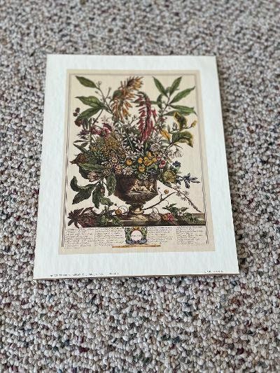 Vintage Arthur A. Kaplan Flower Prints 1979 - Etsy
