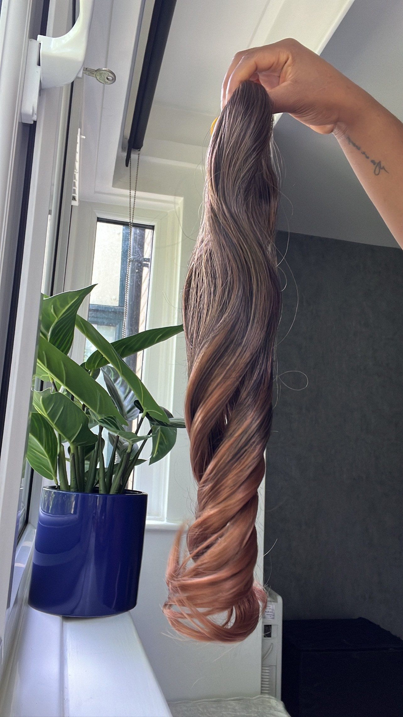 16 Inch Ceecee French Curl Braiding Synthetic Extension - Etsy