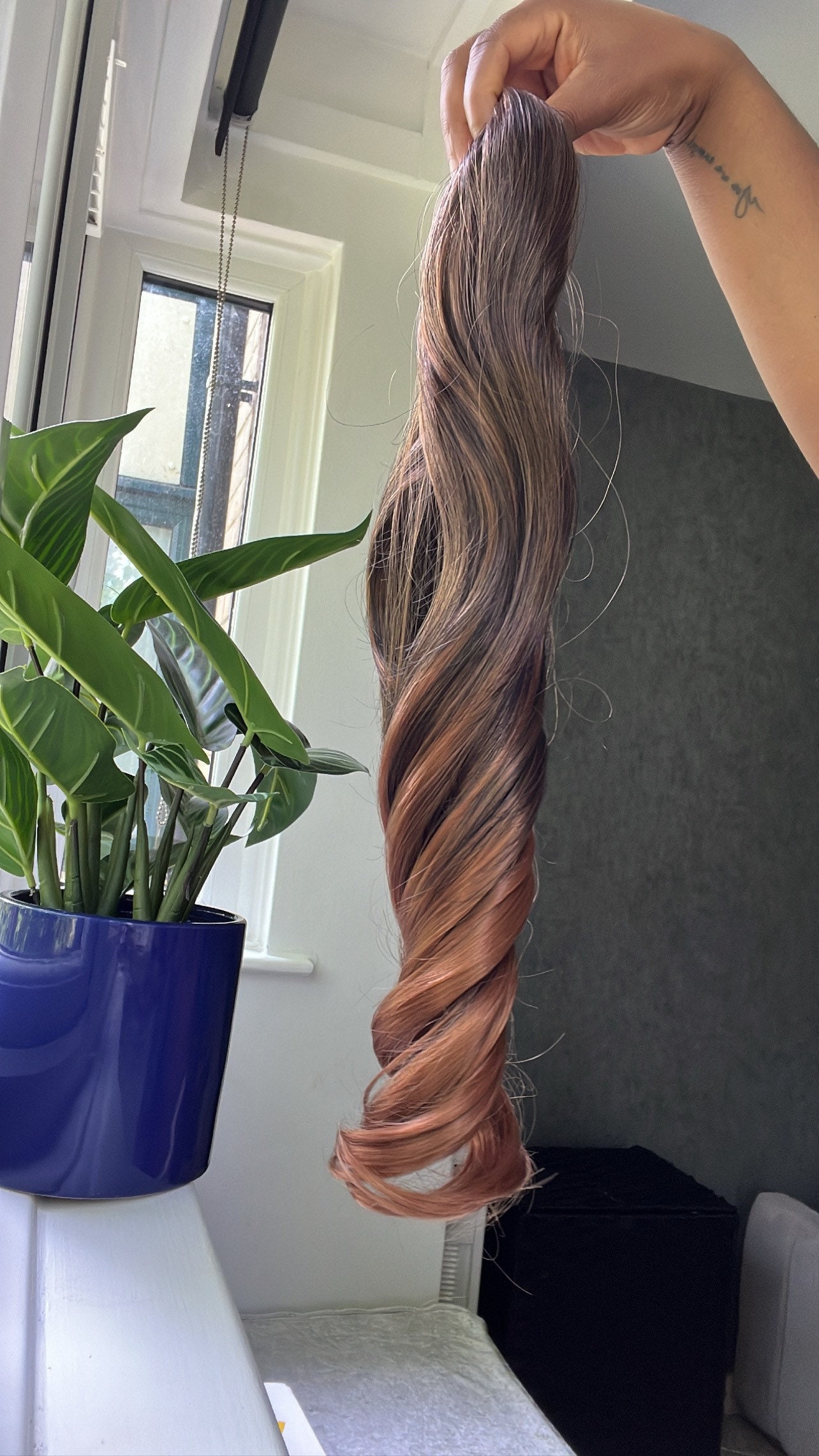 16 Inch Ceecee French Curl Braiding Synthetic Extension - Etsy