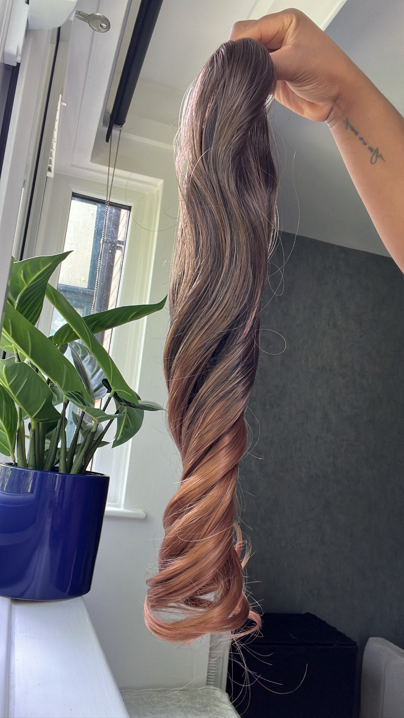 16 Inch Ceecee French Curl Braiding Synthetic Extension - Etsy