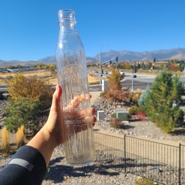 Shell Container - Etsy