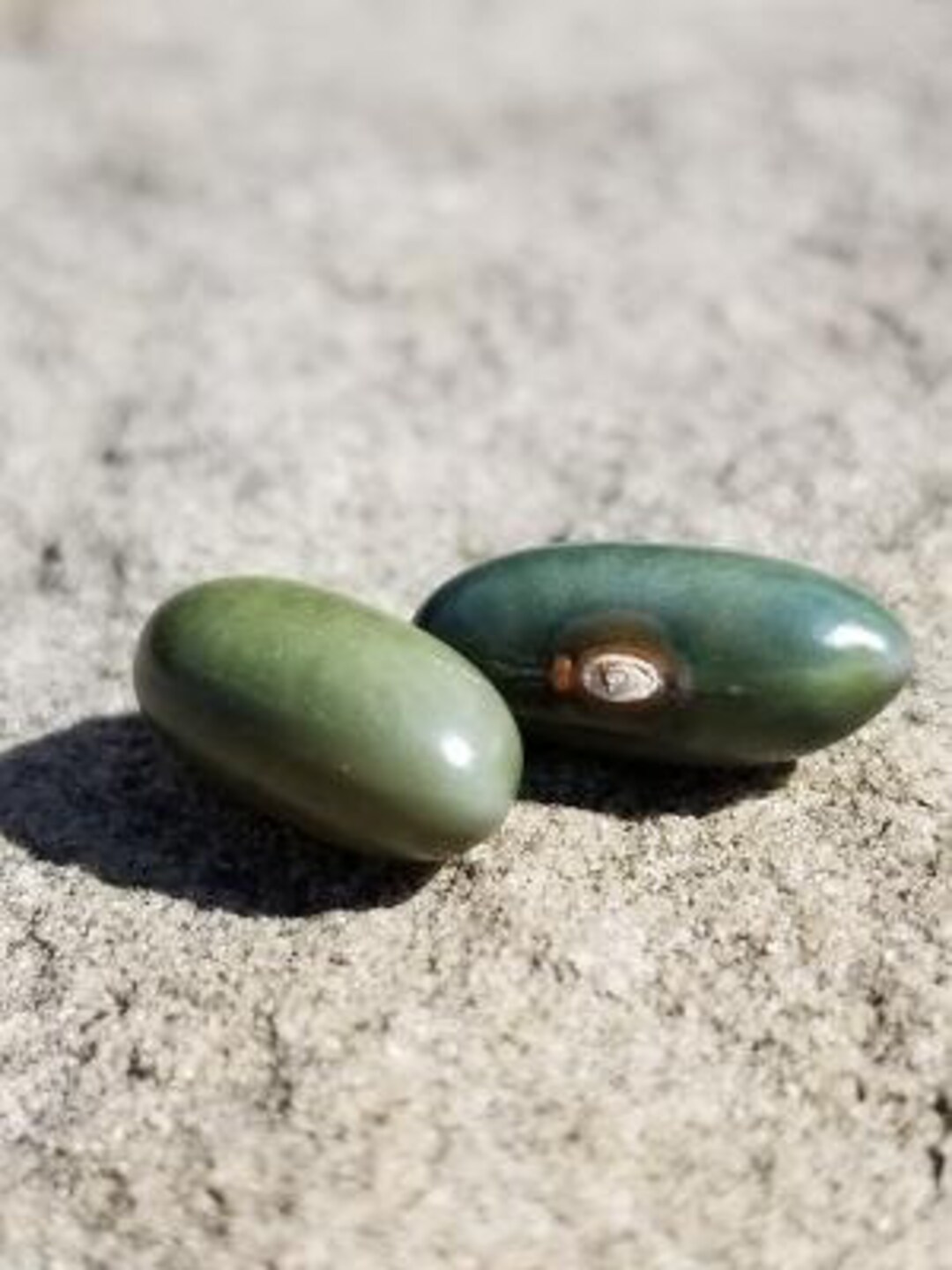 Mbombo Pole Bean - Etsy