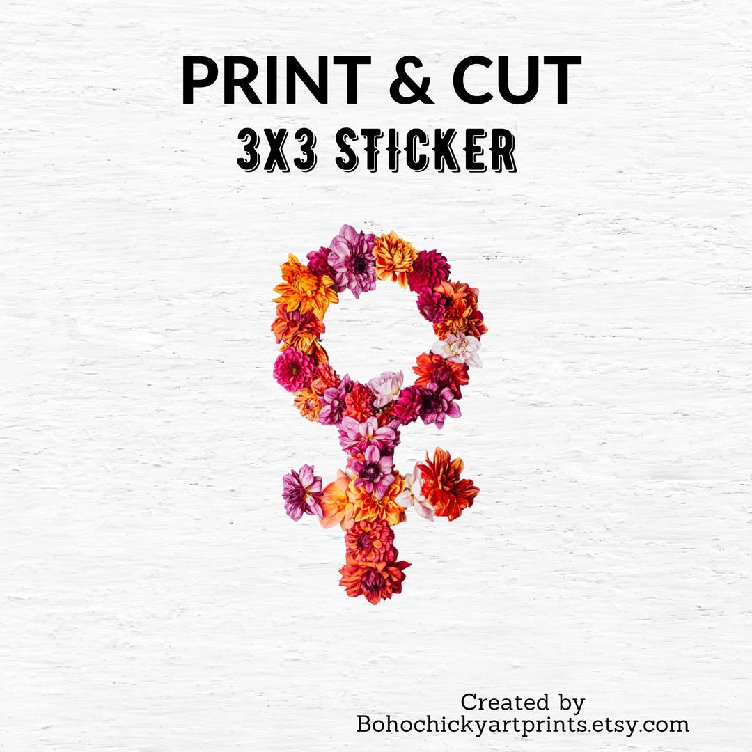Female Symbol Sticker, Girl Power Sticker, Pro Choice - Etsy