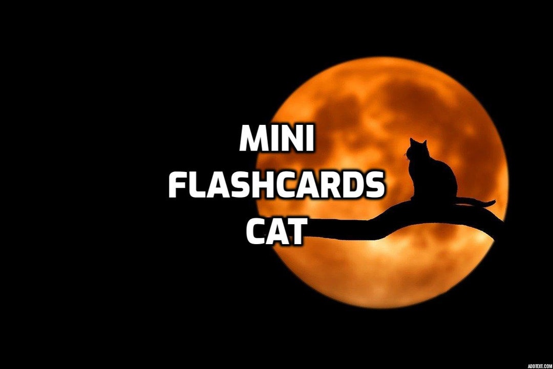 Mini Cat Words Flashcards Printable Etsy