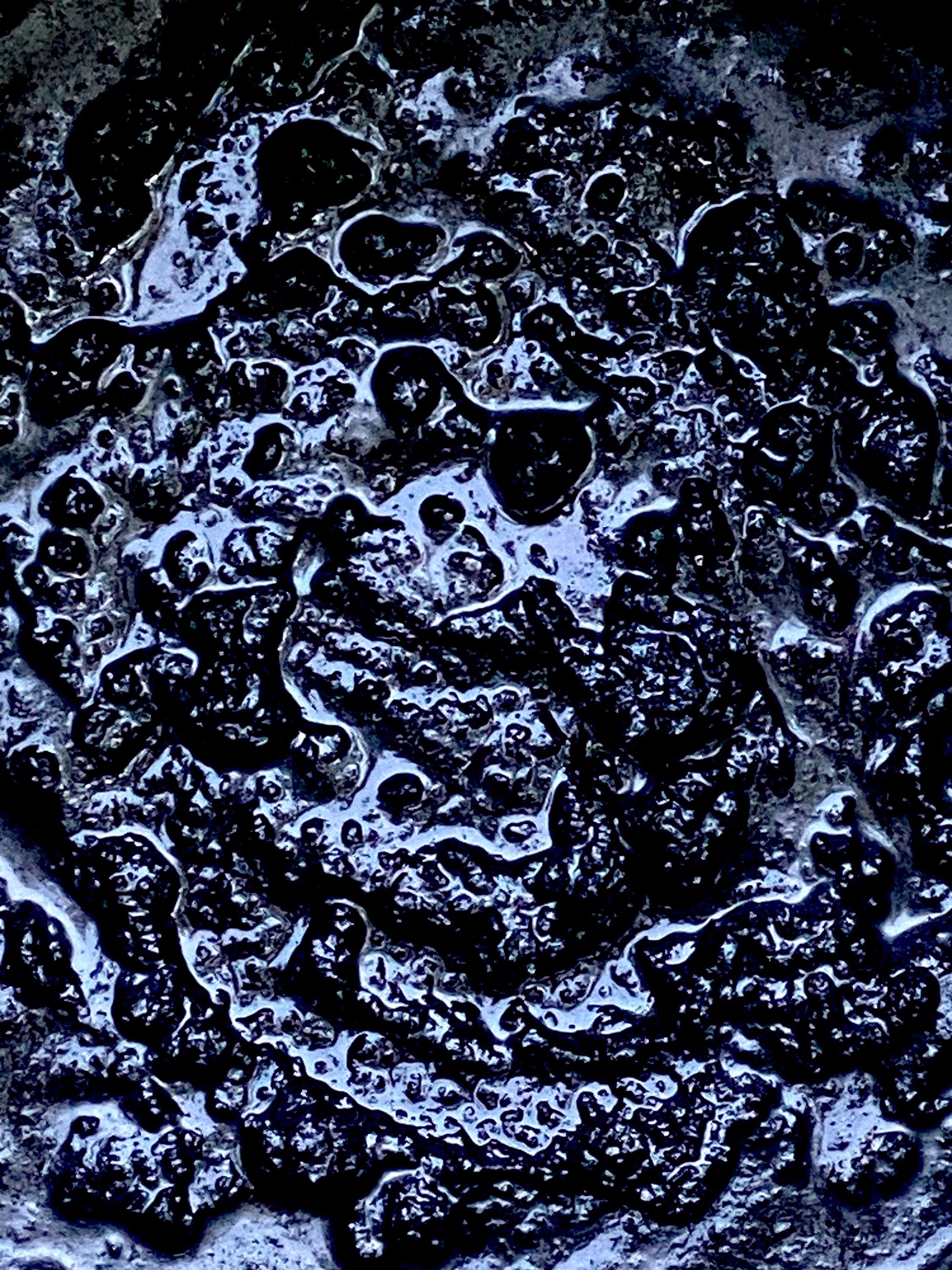 Biochar 100% Organic Fertilizer • Oak Powder Char • for Indoors ...