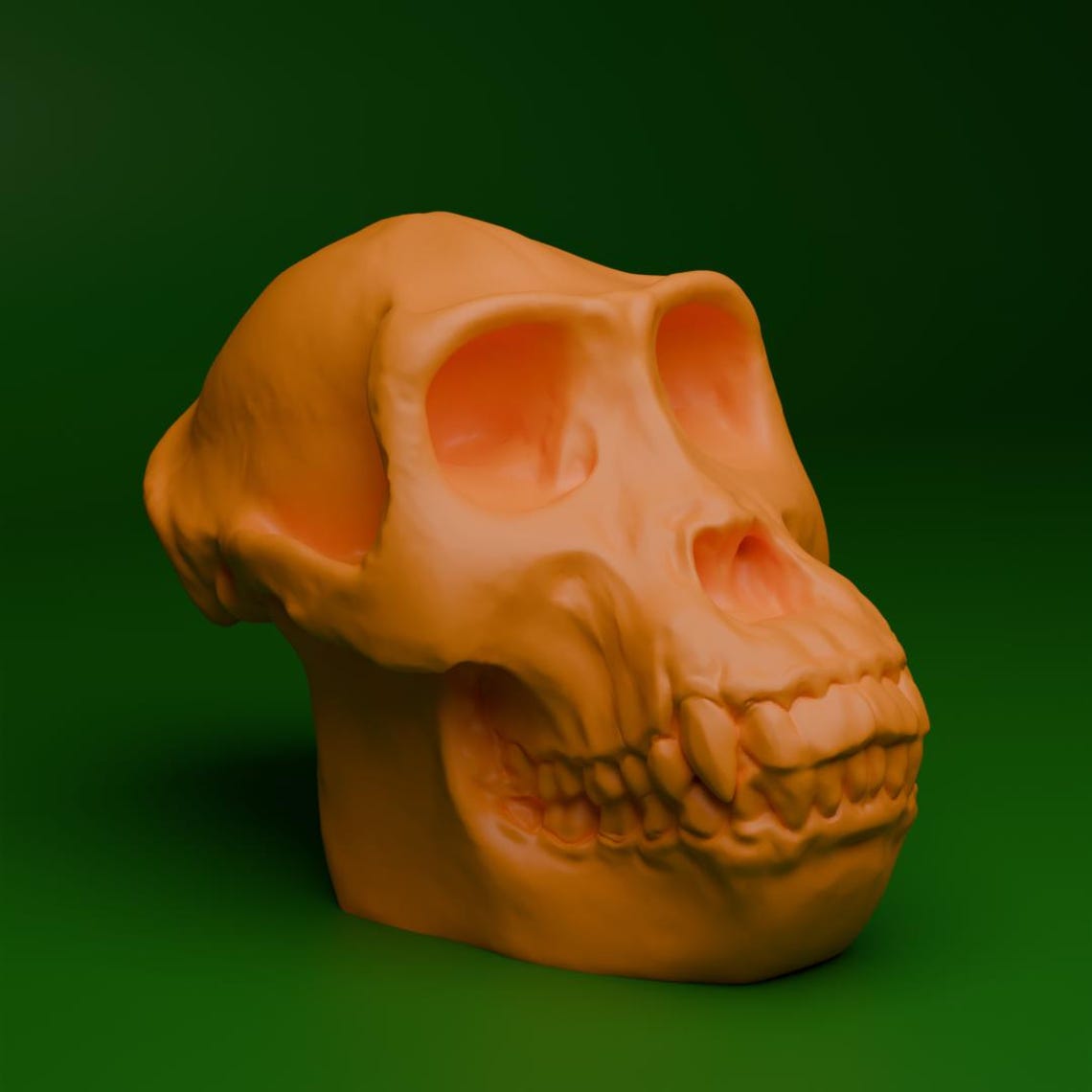 Gorilla Skull - Etsy