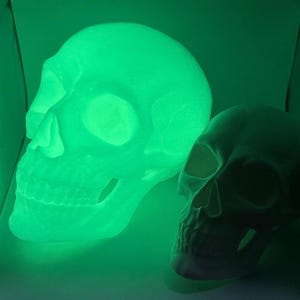 3D Printed Human Skull - Etsy