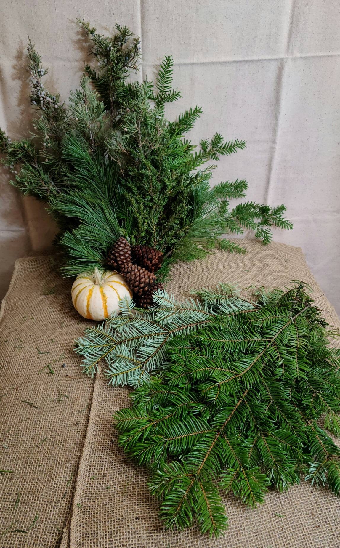 Craft Supplies & Tools Fresh Cut Western Red Cedar Bunch 24 inch ...