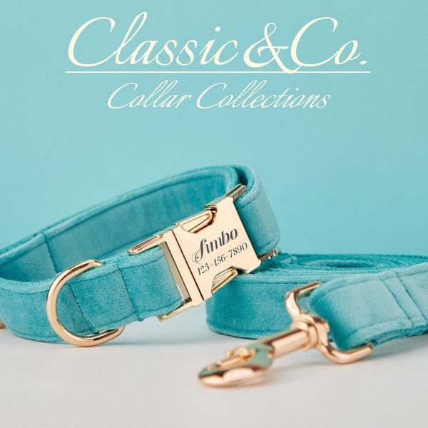Turquoise Dog Collar - Etsy