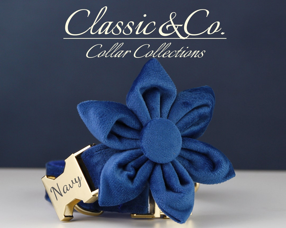 Royalblue Velvet Personalize Dog Collar Leash Set Flower Bow for Small ...