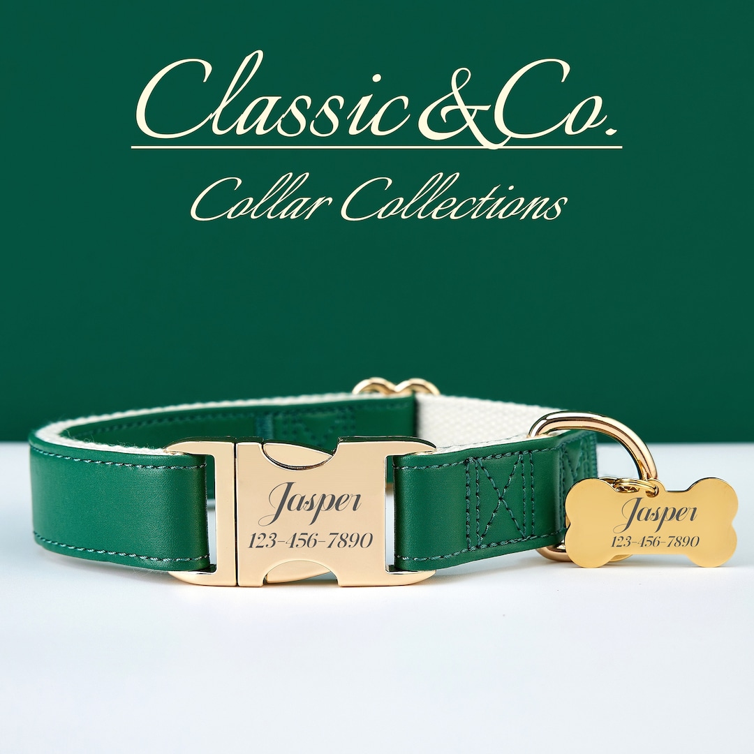 Green Waterproof PU Leather Dog Collar & Lead,solid Dog Collar Leash ...