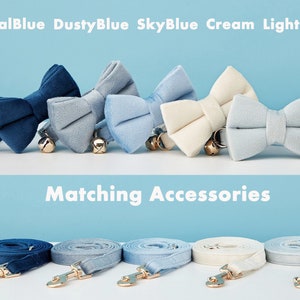 Breakaway Blue+navy+white Velvet Cat Collar Bow Tie Leash Set ...