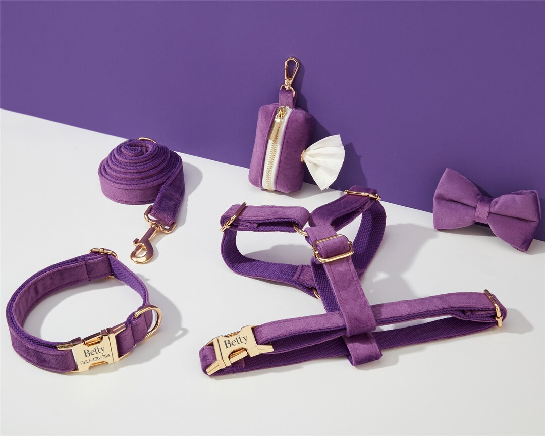 Purple Velvet Dog Harness and Leash Set, Personalize Step in Puppy ...
