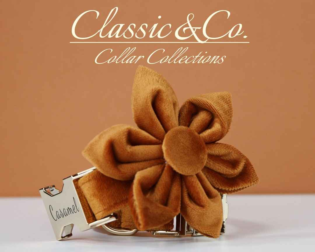 Caramel Velvet Personalize Dog Collar Leash Set Flower Bow for Small ...