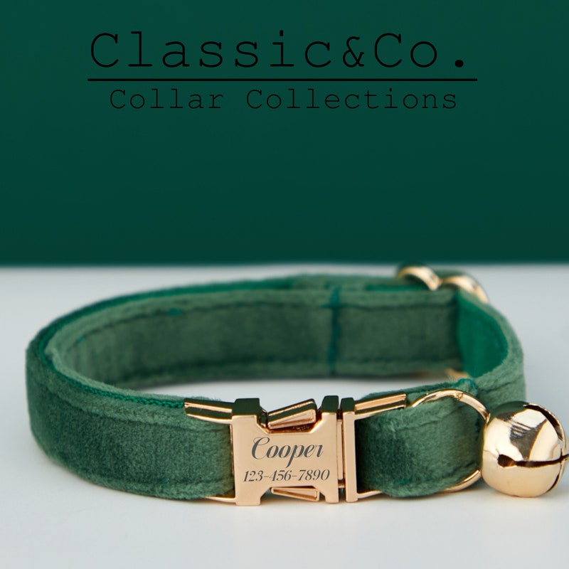 Male and Female Kittens - Etsy