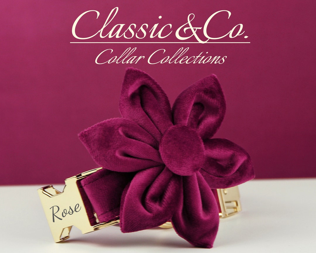 Burgundy Velvet Personalize Dog Collar Leash Set Flower Bow for Small ...