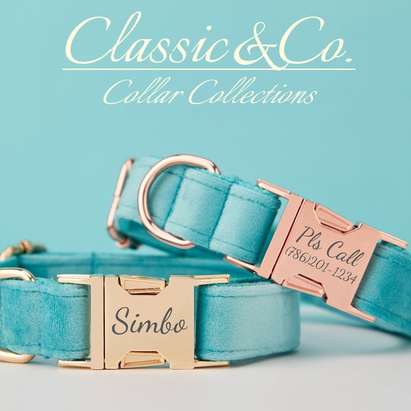 Turquoise Dog Collar - Etsy
