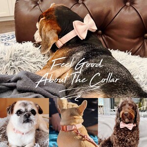 Multiple Colour Corduroy Personalise Dog Collar Leash Set With Bow,pink ...