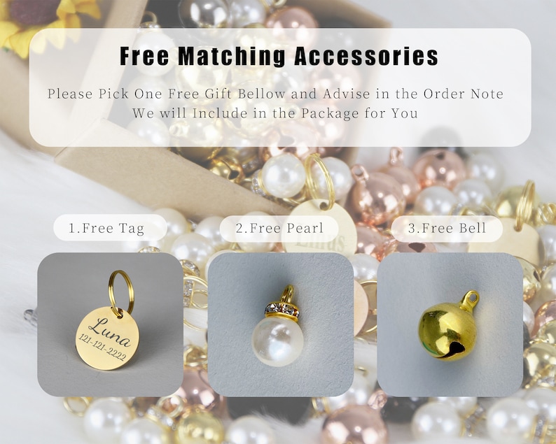 Multiple Colour Velvet Personalise Dog Collar Leash Set With - Etsy