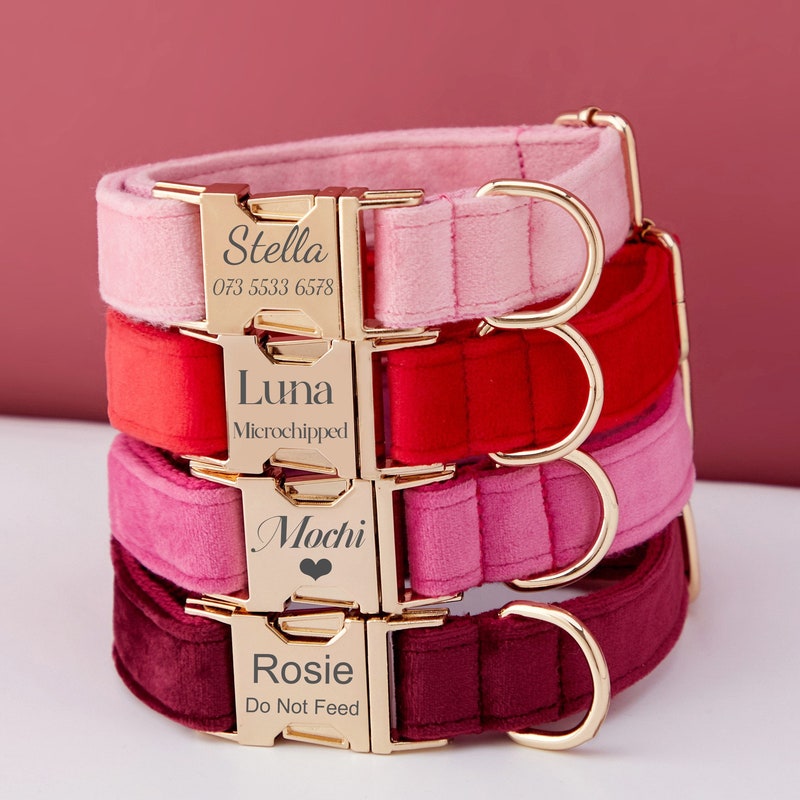 Burgundy Color Dog Collar - Etsy