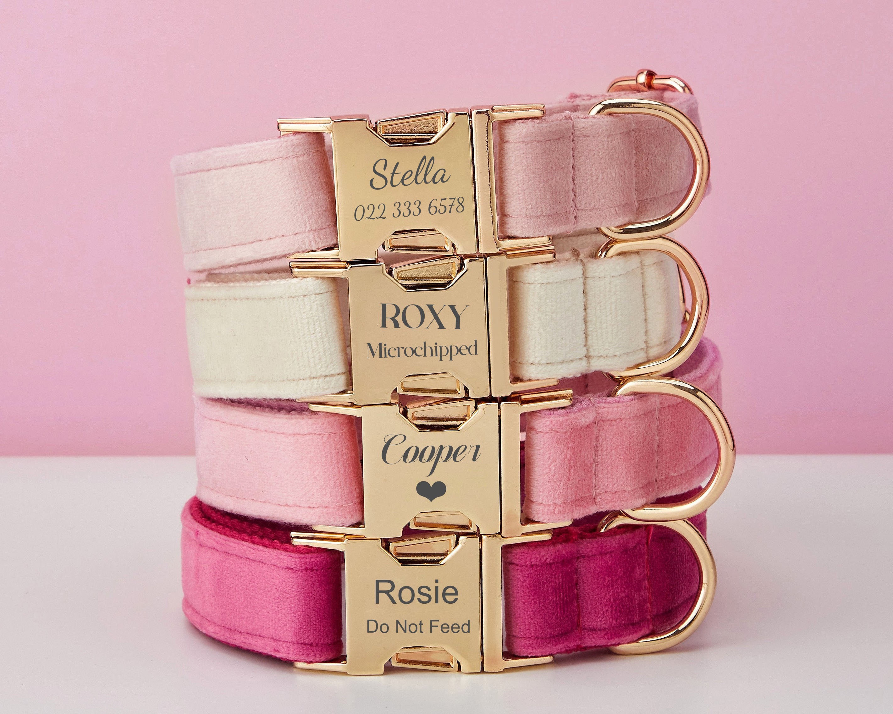 Multiple Colour Velvet Personalise Dog Collar Leash Set With - Etsy Canada