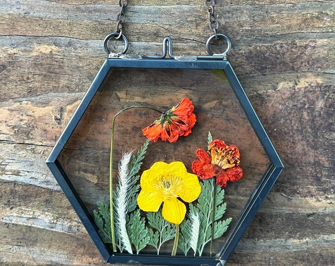 Small Pressed Flower Frame, Hanging Glass Decor, Cosmos, Botanical Art ...