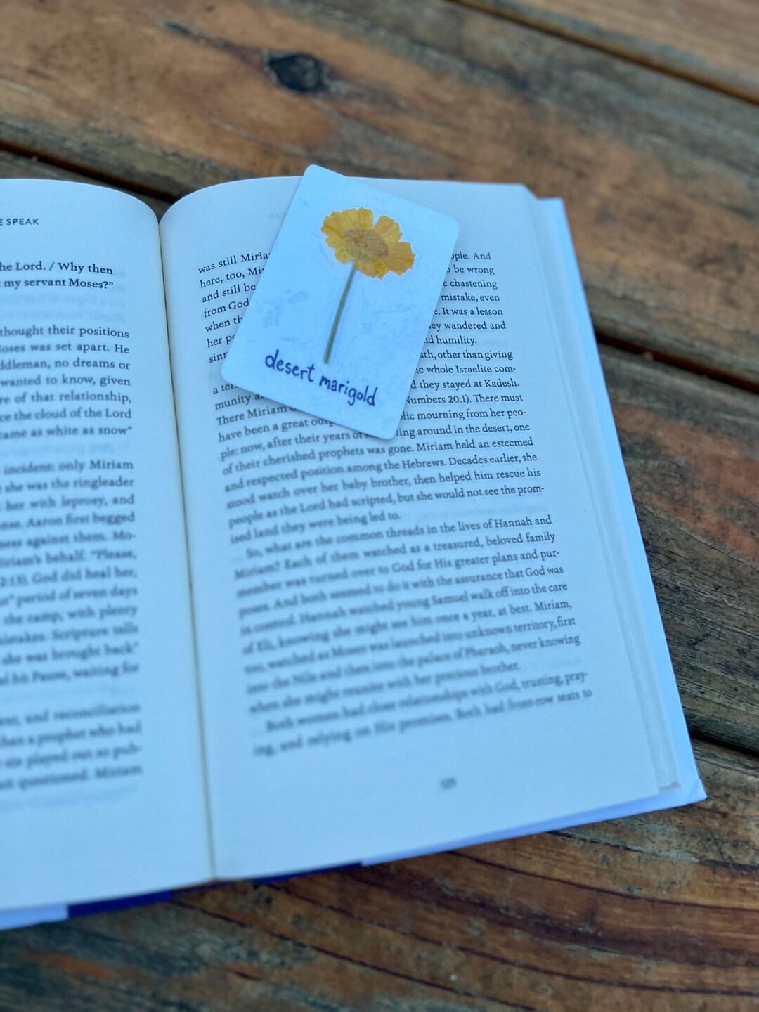 Pressed Desert Marigold Bookmark: Handmade With Real Flowers - Etsy