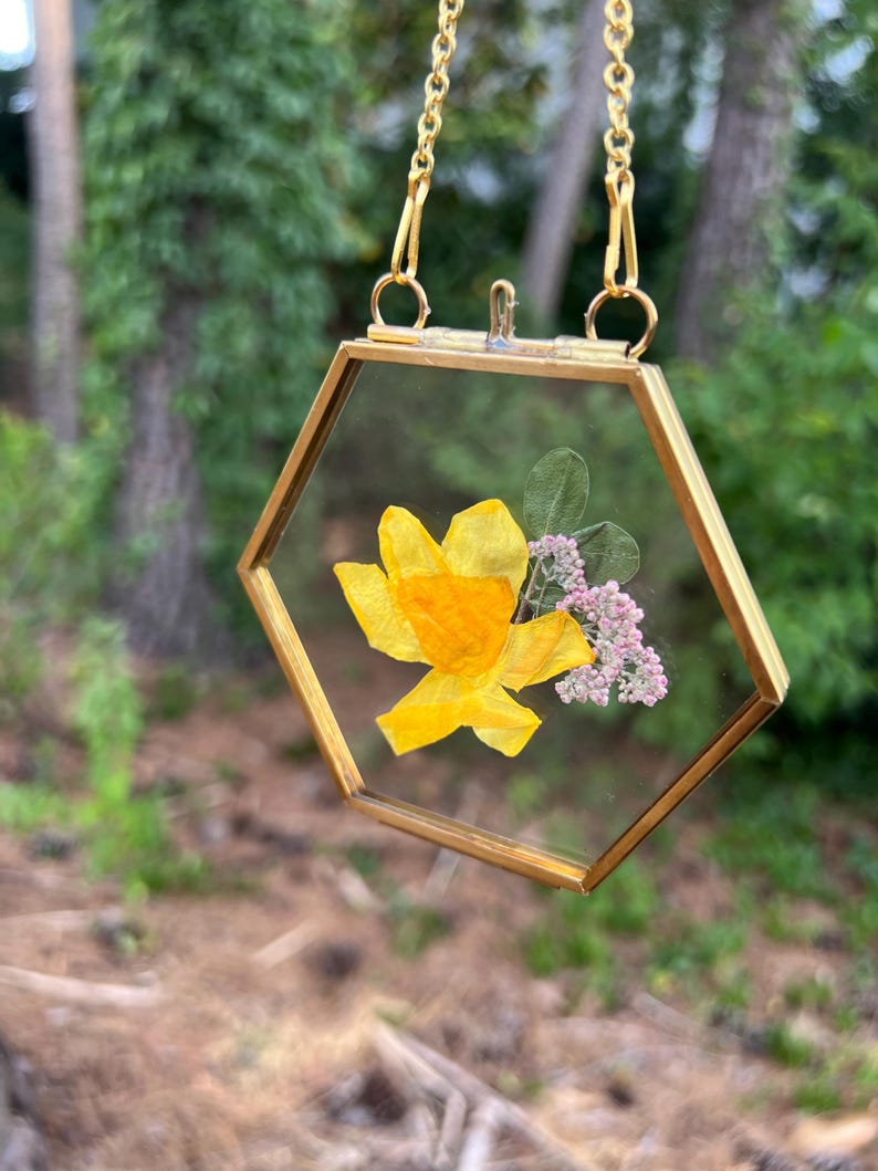 Hexagon Pressed Flower Frame, Yellow Daffodil Botanical Art, Hanging ...