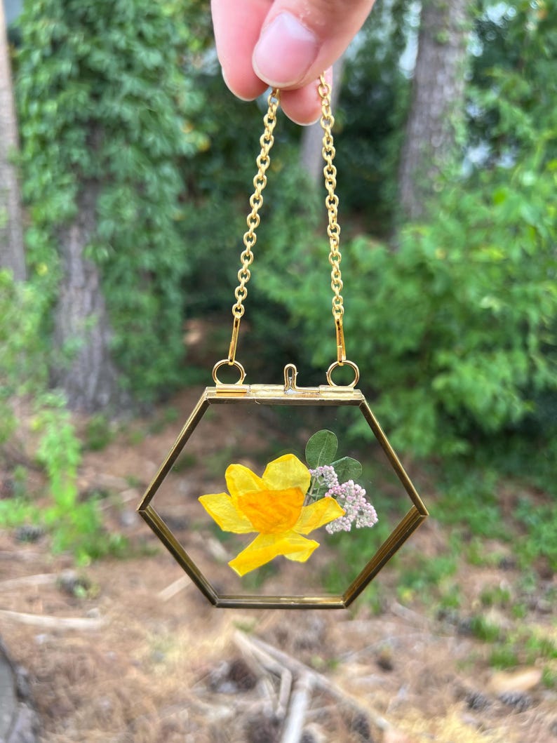 Hexagon Pressed Flower Frame, Yellow Daffodil Botanical Art, Hanging ...