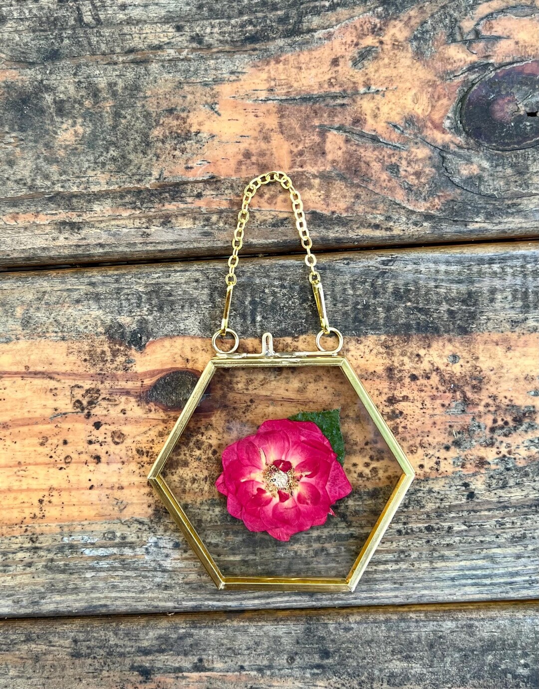 Small Pressed Flower Frame, Hanging Glass Decor, Wall Decor, Botanical ...