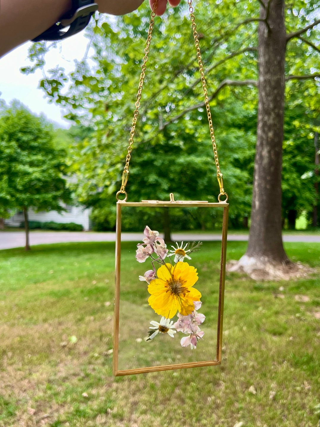 Pressed Flower Frame, Hanging Glass Decor, Wall Decor, Botanical Art ...