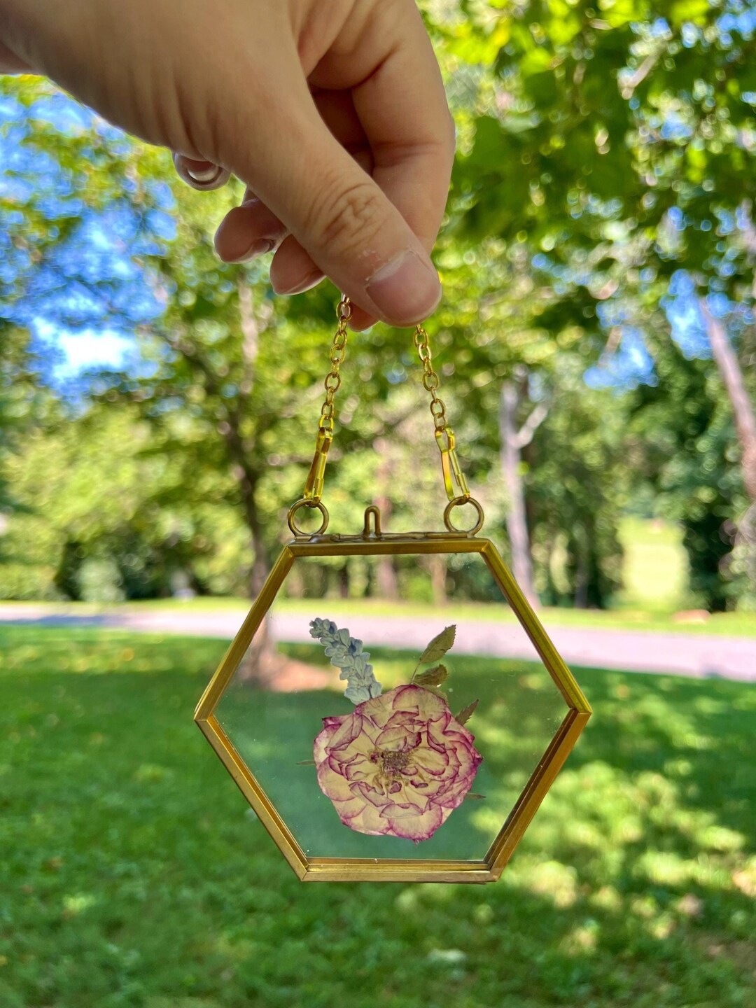 Small Pressed Flower Frame, Hanging Glass Decor, Wall Decor, Botanical ...