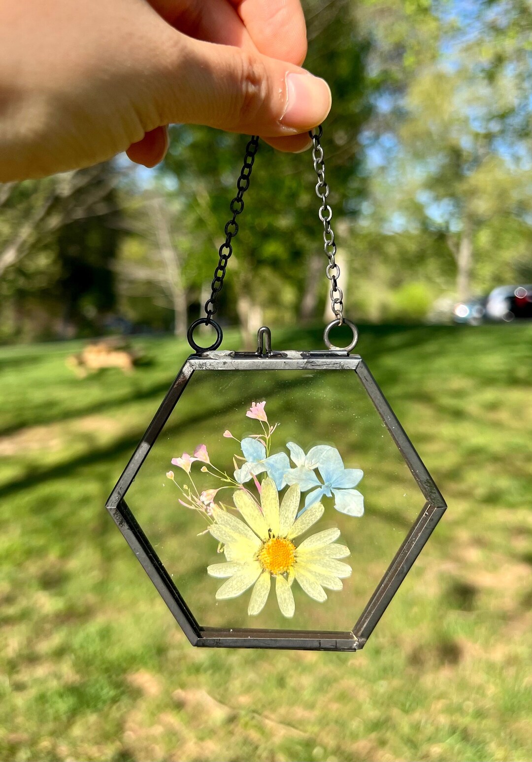 Small Pressed Flower Frame, Hanging Glass Decor, Wall Decor, Botanical ...