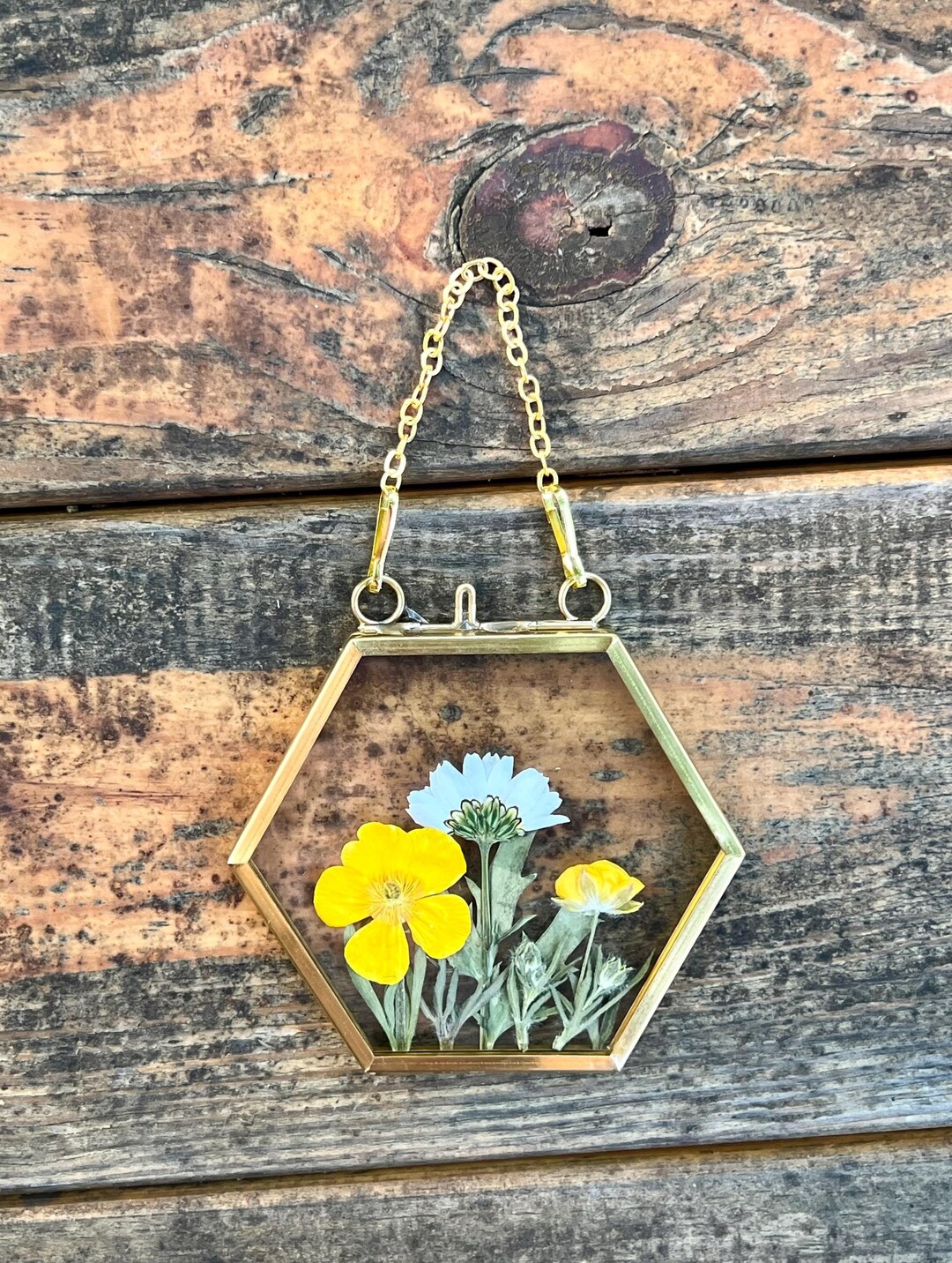 Small Pressed Flower in Hexagon Frame, Hanging Glass Decor, Wall Decor ...