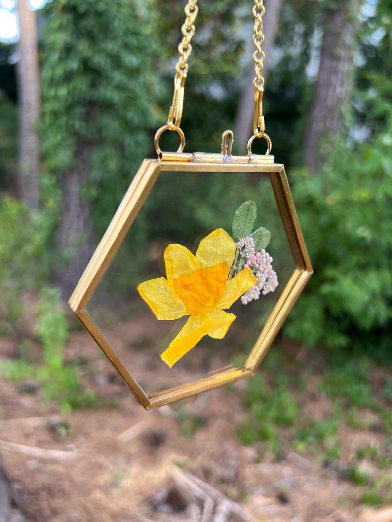Hexagon Pressed Flower Frame, Yellow Daffodil Botanical Art, Hanging ...