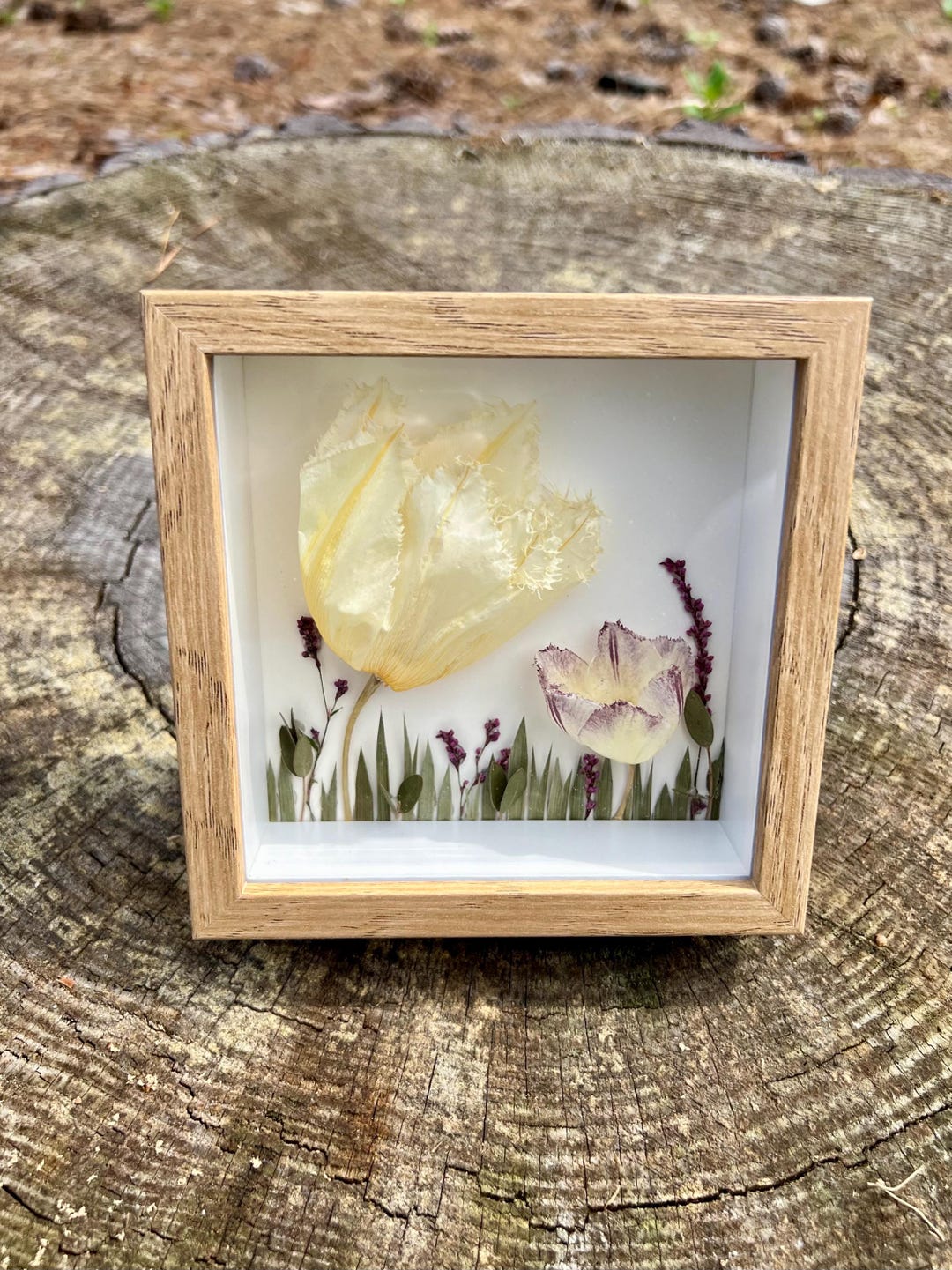 Real Dried Tulip Flowers, 5x5 Shadow Box, Preserved Real Flowers ...